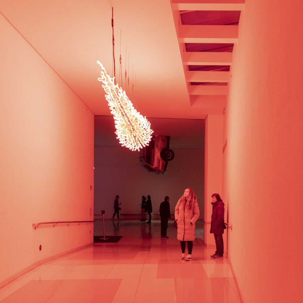 Moore College of Art & Design Viewbook | Moore College